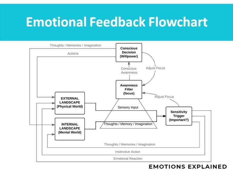How I Learned Emotional Intelligence with Aspergers | Aspergers From ...